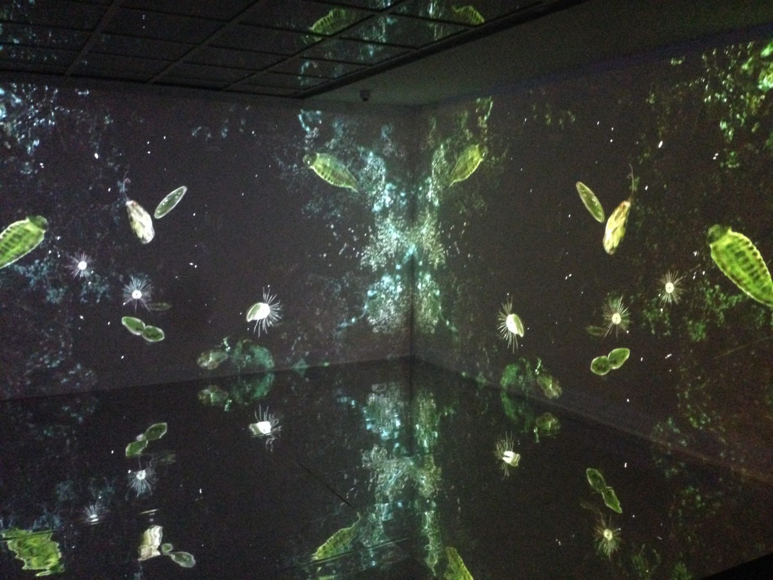 Trees of Life Exhibition in Frankfurt – Symbiotic Collectives